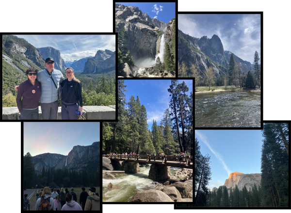 NatureBridge In Yosemite – North State Together